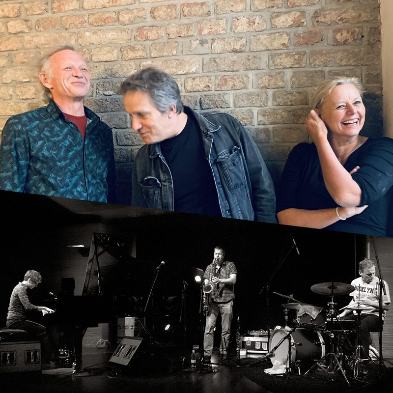 DEK // Pink Forest - exploratorium berlin