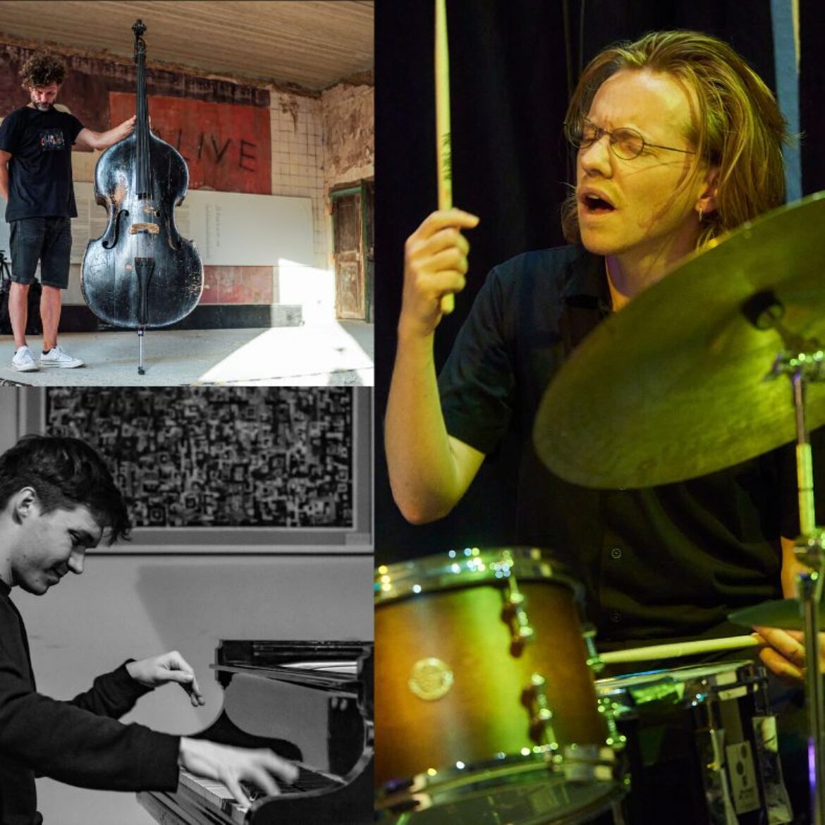 Arsava Fischer Grom - exploratorium berlin